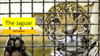 Ted Hughes: The Jaguar | Teaching Resources