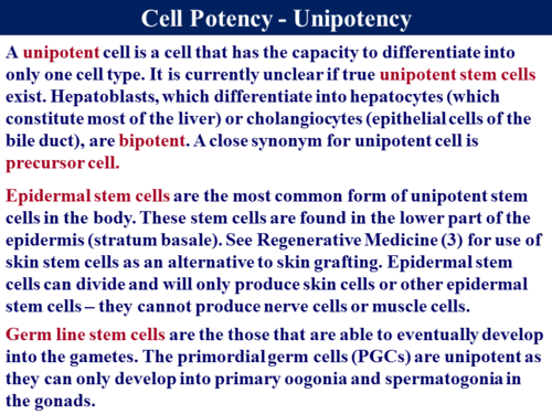 BioA_3.8.2.1 Cell Potency & Differentiation | Teaching Resources