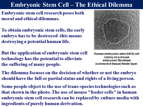 BioA_3.8.2.1 Cell Potency & Differentiation | Teaching Resources