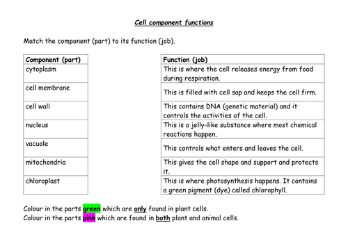 Cell components match up SEN | Teaching Resources