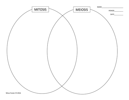 Cell Cycle, Mitosis & Meiosis Graphic Organizer Foldout Foldables ...