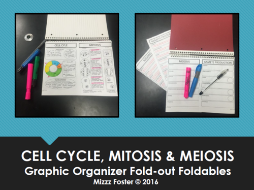 Cell Cycle, Mitosis & Meiosis Graphic Organizer Foldout Foldables ...