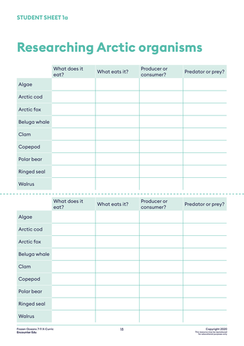 Adaptations: What animals live in the Arctic? KS2 Science | Teaching ...