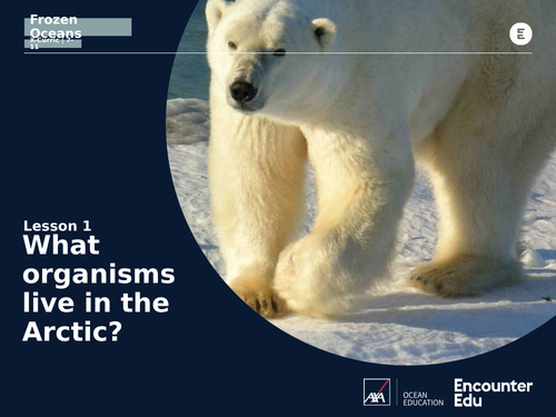 Adaptations: What animals live in the Arctic? KS2 Science | Teaching ...