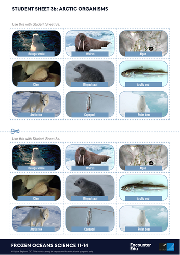 How does ocean acidification affect communities? KS3 Science | Teaching ...
