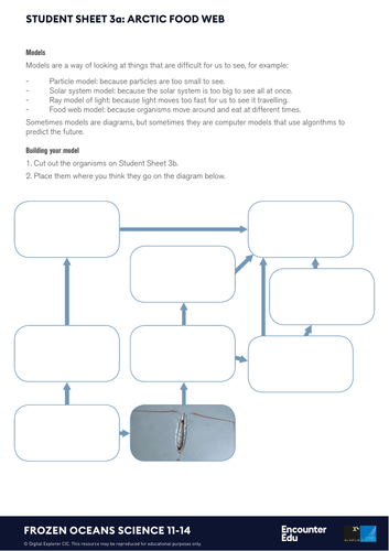 How does ocean acidification affect communities? KS3 Science | Teaching ...