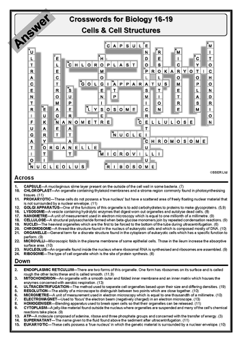 BioA_Crosswords - Set 1 (Answers Provided) | Teaching Resources