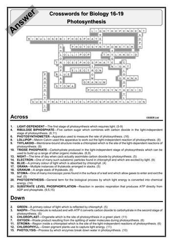 BioA_Crosswords - Set 4 (Answers Provided) | Teaching Resources