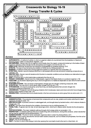 BioA_Crosswords - Set 4 (Answers Provided) | Teaching Resources