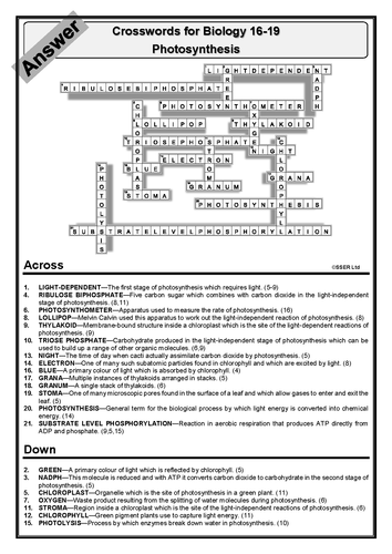 BioA_Crosswords - Set 4 (Answers Provided) | Teaching Resources