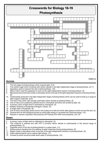 BioA_Crosswords - Set 4 (Answers Provided) | Teaching Resources