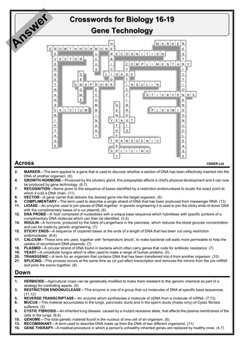 BioA_Crosswords - Set 4 (Answers Provided) | Teaching Resources