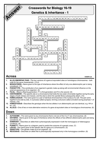 BioA_Crosswords - Set 4 (Answers Provided) | Teaching Resources