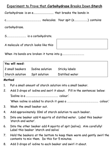 Bacteria & Enzymes in digestion - NEW KS3 | Teaching Resources