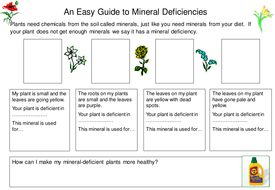 Plant Organs & Plant Nutrition - NEW KS3 | Teaching Resources