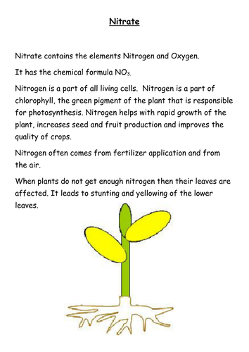 Plant Organs & Plant Nutrition - NEW KS3 | Teaching Resources