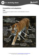 Competition & Adaptation - NEW KS3 | Teaching Resources