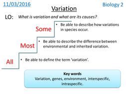 Variation - NEW KS3 | Teaching Resources