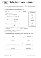 Variation - NEW KS3 | Teaching Resources