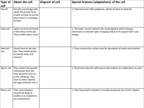 Specialised cells - Cell biology - NEW GCSE | Teaching Resources