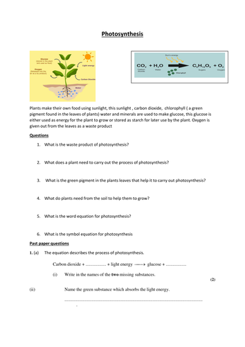 PHOTOSYNTHESIS | Teaching Resources