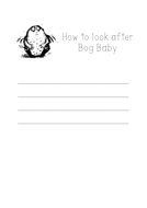 EYFS Bog Baby Literacy and Continuous Provision Lesson Plan and ...