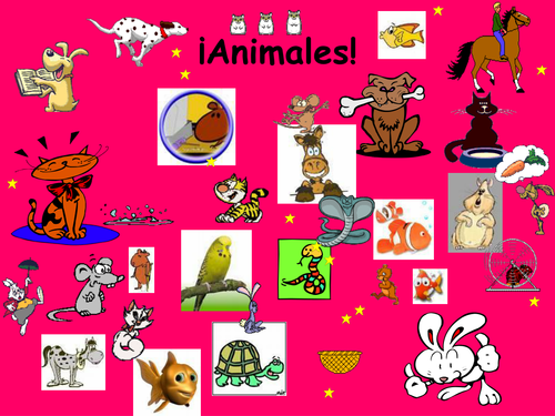 Spanish Teaching Resources. Animals / Pets PowerPoint Presentation ...