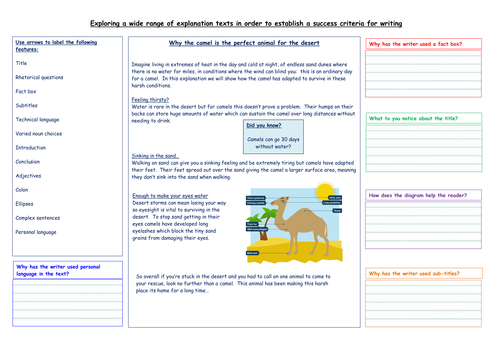 3x Differentiated Explanation texts - water cycle, camels, formal and ...