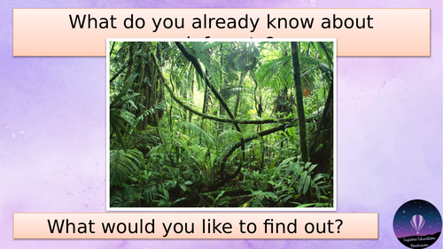 Layers of the Rainforest - KS2 Geography Lesson | Teaching Resources