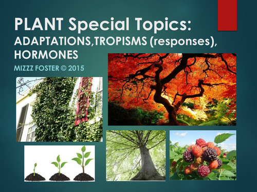 Plants Adaptations, Tropisms, Hormones Bundle: Power Point & Graphic ...