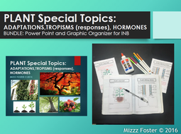 Plants Adaptations, Tropisms, Hormones Bundle: Power Point & Graphic ...