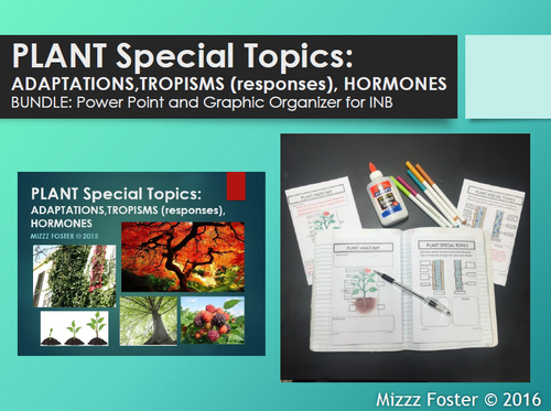 Plants Adaptations, Tropisms, Hormones Bundle: Power Point & Graphic ...