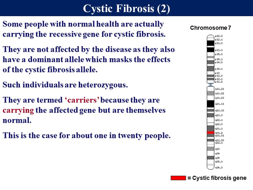 Child Development 1.1 - Genetic Factors & Counselling | Teaching Resources