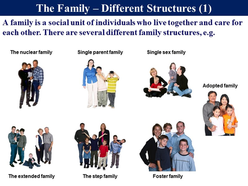 Child Development 1.4 - Parenthood - Family Structure & Functions ...