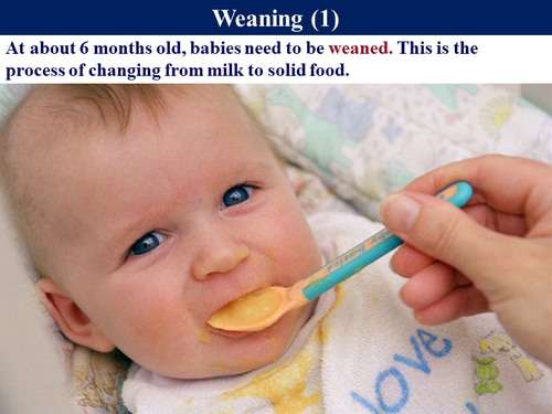 Child Development 2.2 - Childcare - Feeding & Weaning | Teaching Resources
