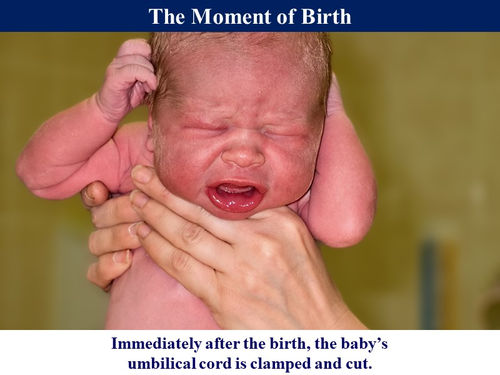 Child Development 2.4 - Childcare - Newborn Baby | Teaching Resources