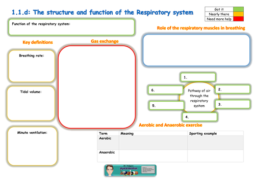 OCR GCSE PE new spec (2016) Topic on a page mindmaps | Teaching Resources OCR GCSE PE new spec (2016) Topic on a page mindmaps | Teaching Resources