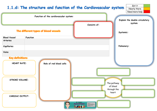 OCR GCSE PE new spec (2016) Topic on a page mindmaps | Teaching Resources OCR GCSE PE new spec (2016) Topic on a page mindmaps | Teaching Resources