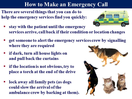 Child Development 3.4 - First Aid - Dealing With Emergencies | Teaching ...