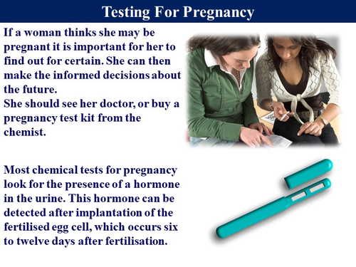 Child Development 4.3 - Reproduction - Pregnancy | Teaching Resources