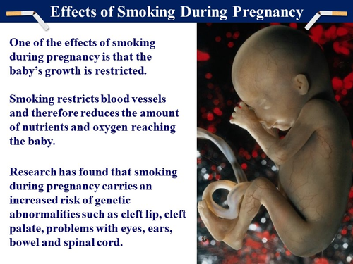 Child Development 4.3 - Reproduction - Pregnancy | Teaching Resources