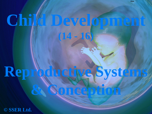 Child Development 4.4 - Reproduction - Systems & Conception | Teaching ...