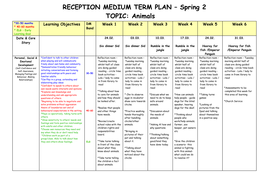 Medium Term Plan on Animals Early Years Foundation Stage | Teaching ...