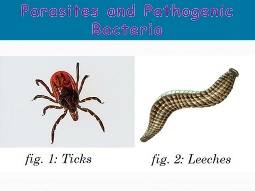 Parasites, pathogenic bacteria and symbiosis: 2 RESOURCES A Level/BTEC ...
