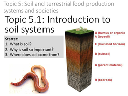 ESS Topic 5: Soil and Terrestrial Food Production Systems and Societies ...