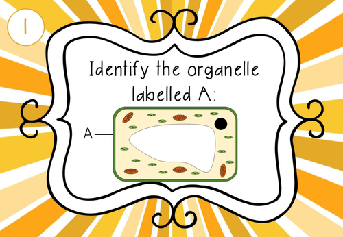 Biology Task Cards Growing Bundle FREE SAMPLER | Teaching Resources