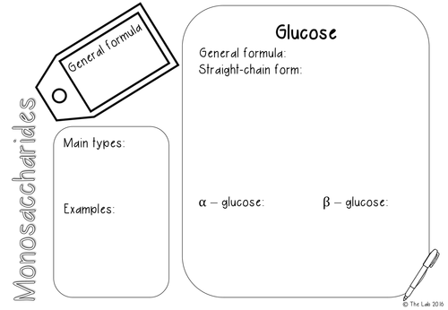 Biology Graphic Organizers Growing Bundle FREE SAMPLER | Teaching Resources