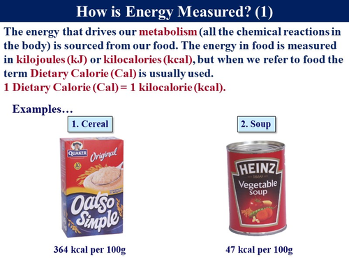 Food_2.4 The Energy We Need | Teaching Resources