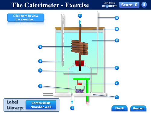 Food_2.5 Measuring Energy - Calorimetry | Teaching Resources