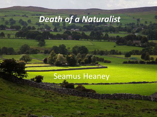 WJEC Eduqas Literature Poetry - 'Death of a Naturalist', by Seamus ...